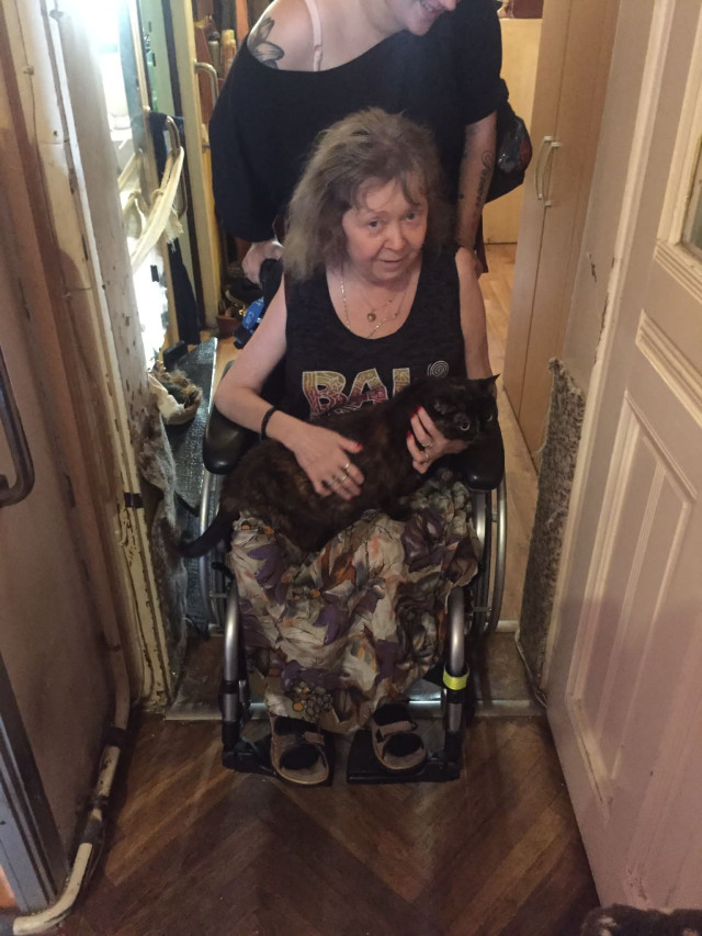 Pomoc Monice, kočičí mámě | Donio