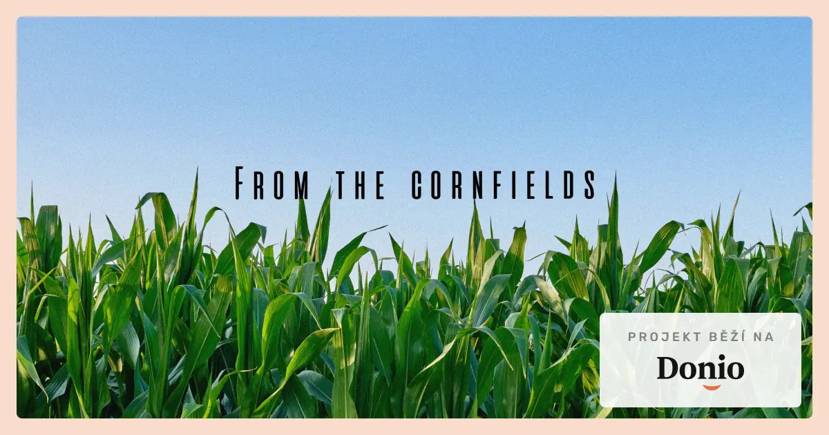 Pomozte NOISETRAP vydat debutové album "From the Cornfields" a natočit ...