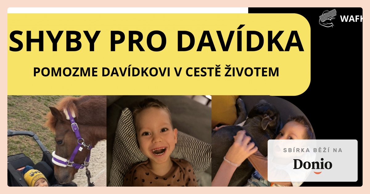 Shyby pro Davídka od WAFK Challenge | Donio