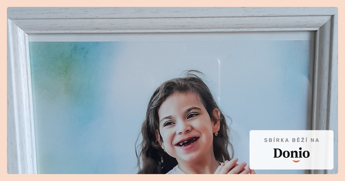 Pro Žanetku na rehabilitaci | Donio
