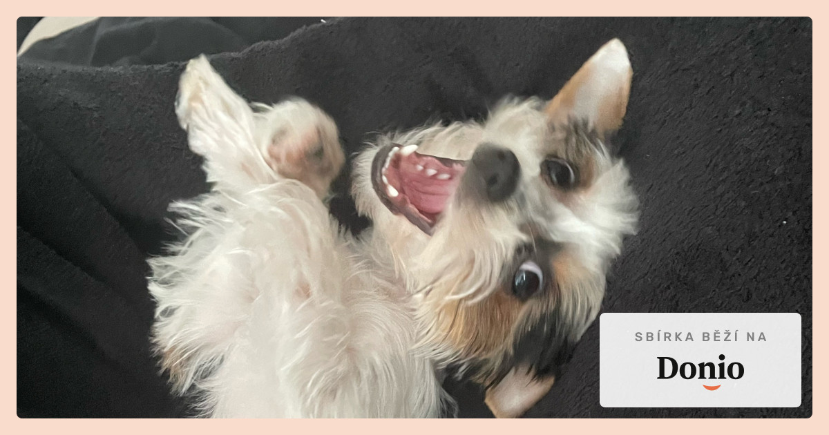 Složili jste se na léčbu pro Sofinku | Donio