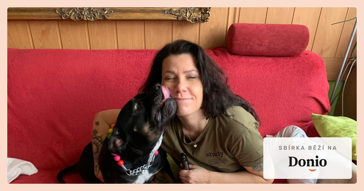 Pomoc pro tříletou fenku Lauru | Donio