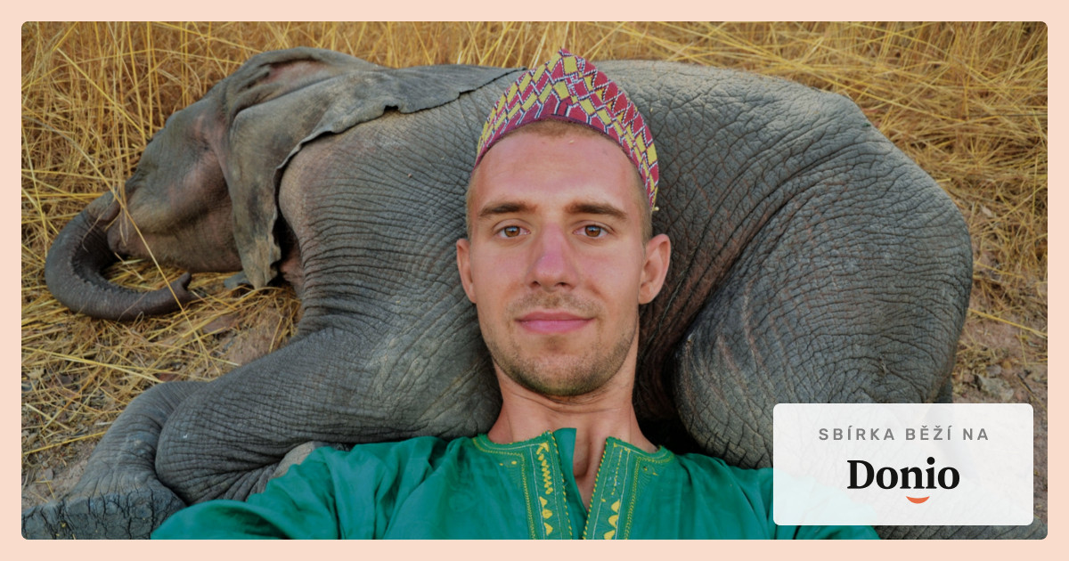 Pomozte Arthurovi ochránit slony před vyhynutím | Donio